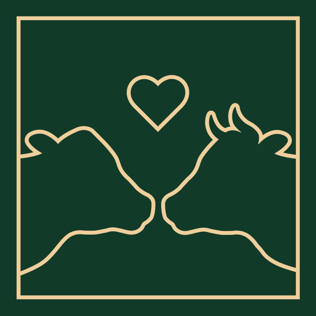 Our Wagyu Cattle Breeds | Wagyu Evolution