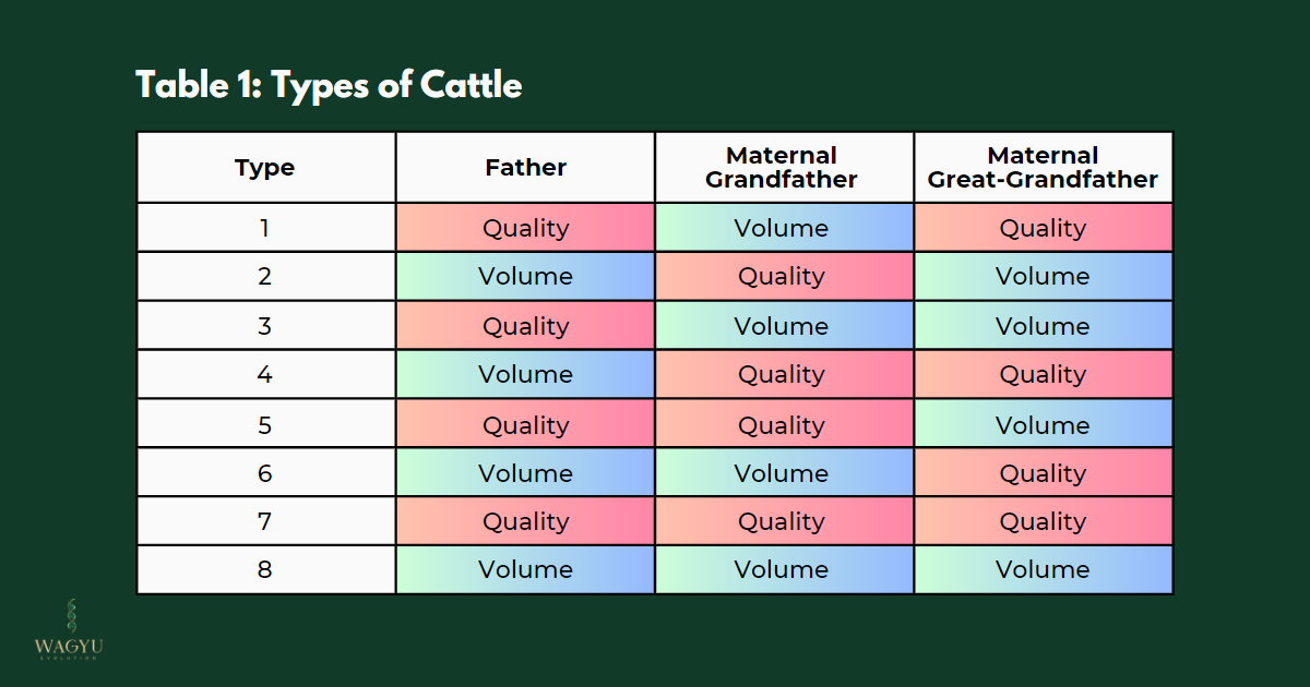 Sandwich Crossbreeding and Five Way Crossbreeding | Wagyu Evolution